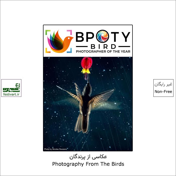فراخوان رقابت بین المللی عکاسی پرنده BPOTY ۲۰۲۲ – فستیوارت